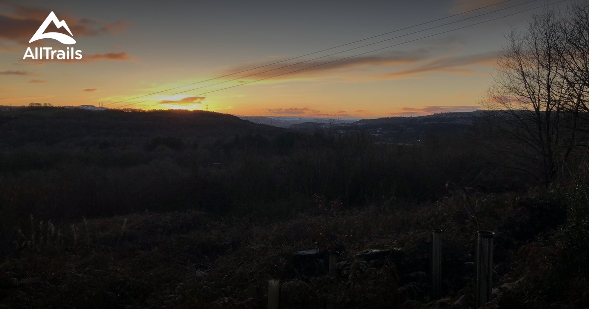 Best hikes and trails in Spring Wood | AllTrails