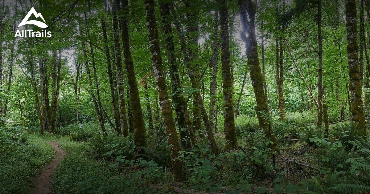 Best hikes and trails in Jenne Butte Park | AllTrails