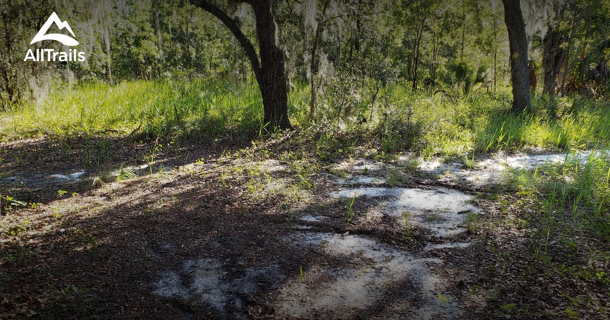 Best hikes and trails in Econlockhatchee Sandhills Conservation Area ...