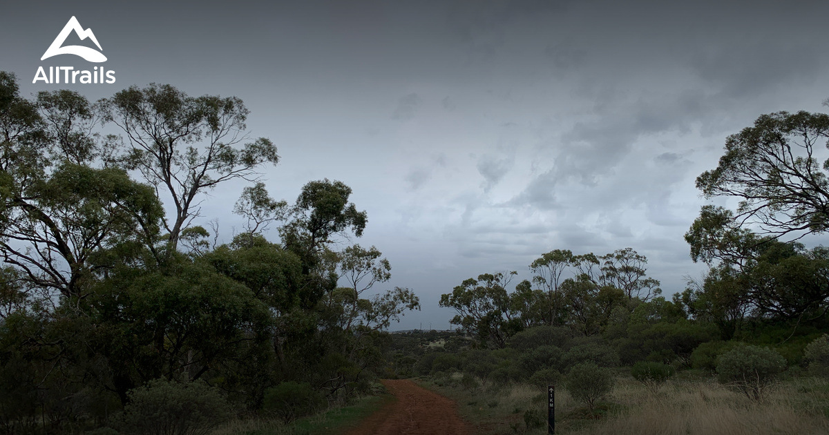 Best hikes and trails in Jo Gapper Activity Park | AllTrails