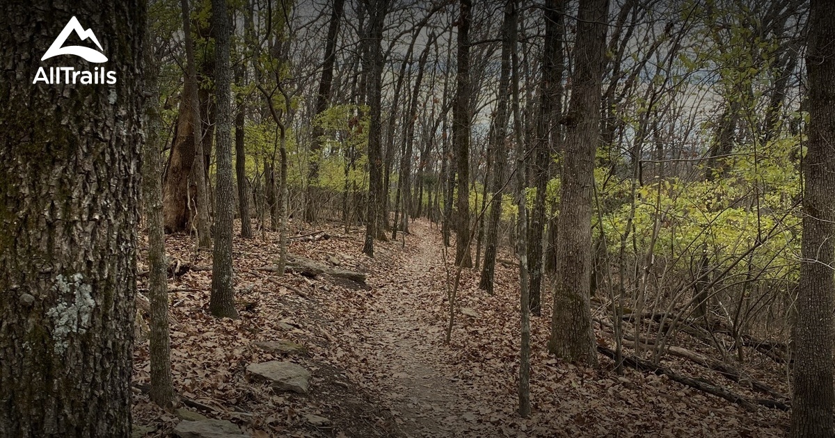 Best hikes and trails in Markham Hill Nature Preserve | AllTrails