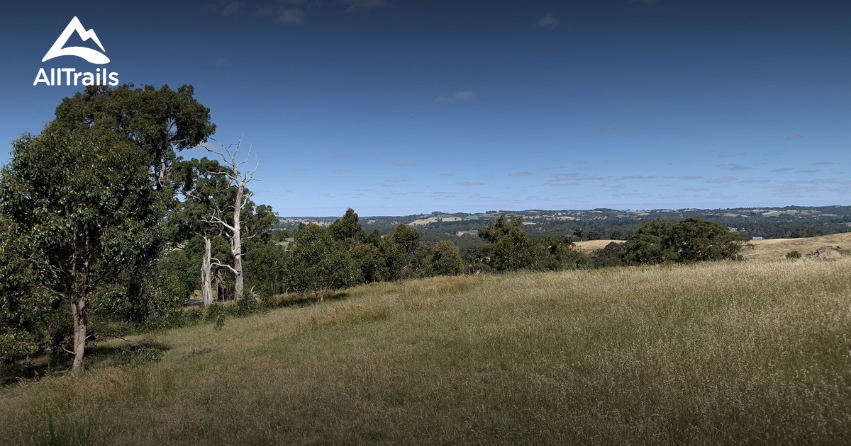 Best hikes and trails in Kenneth Stirling Conservation Park | AllTrails