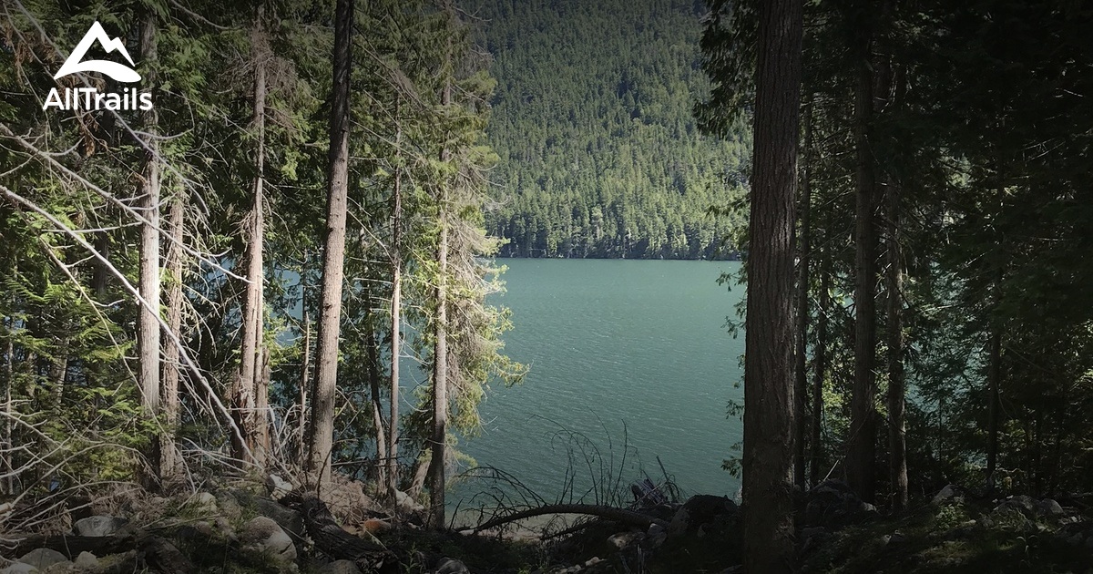 Best hikes and trails in Birkenhead Lake Provincial Park | AllTrails
