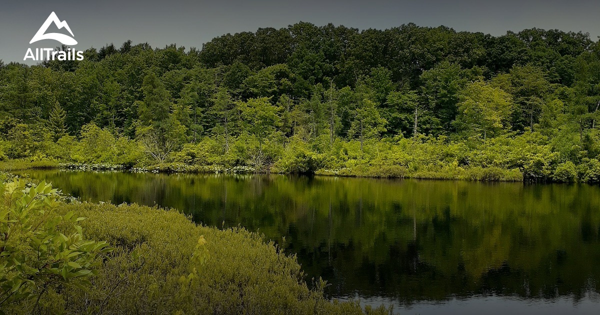 Best hikes and trails in Triangle Lake Bog State Nature Preserve ...