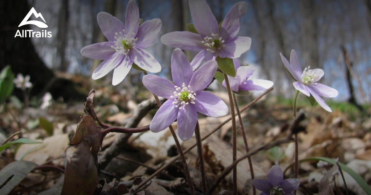 Best hikes and trails in Heckert Park | AllTrails