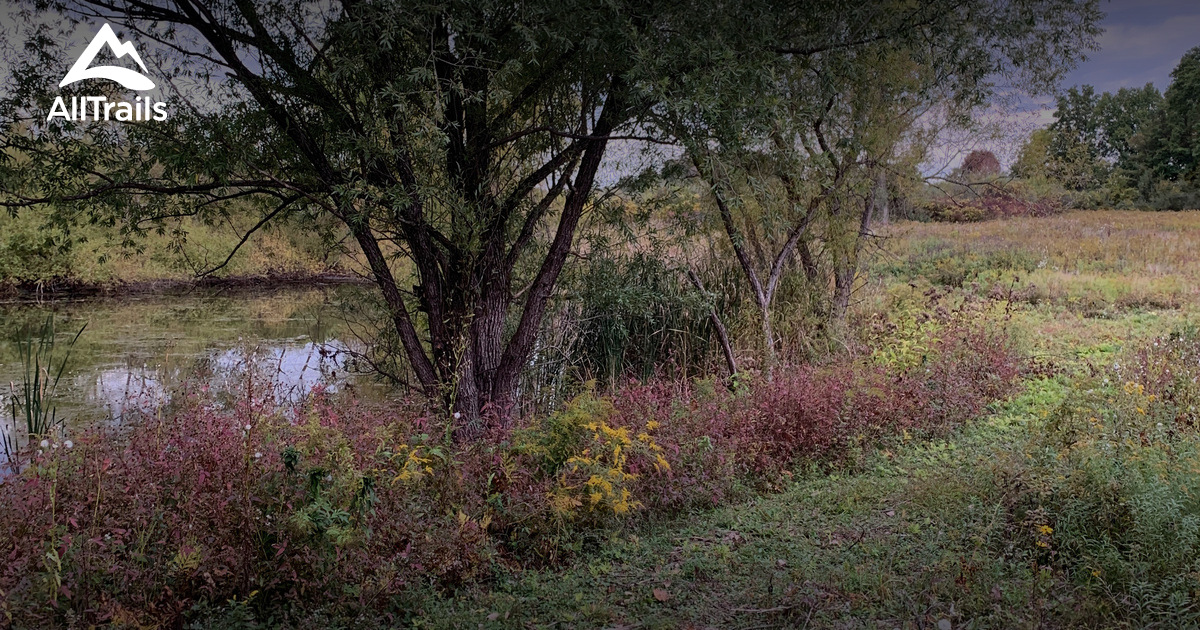 Best hikes and trails in Touhey Family Preserve | AllTrails