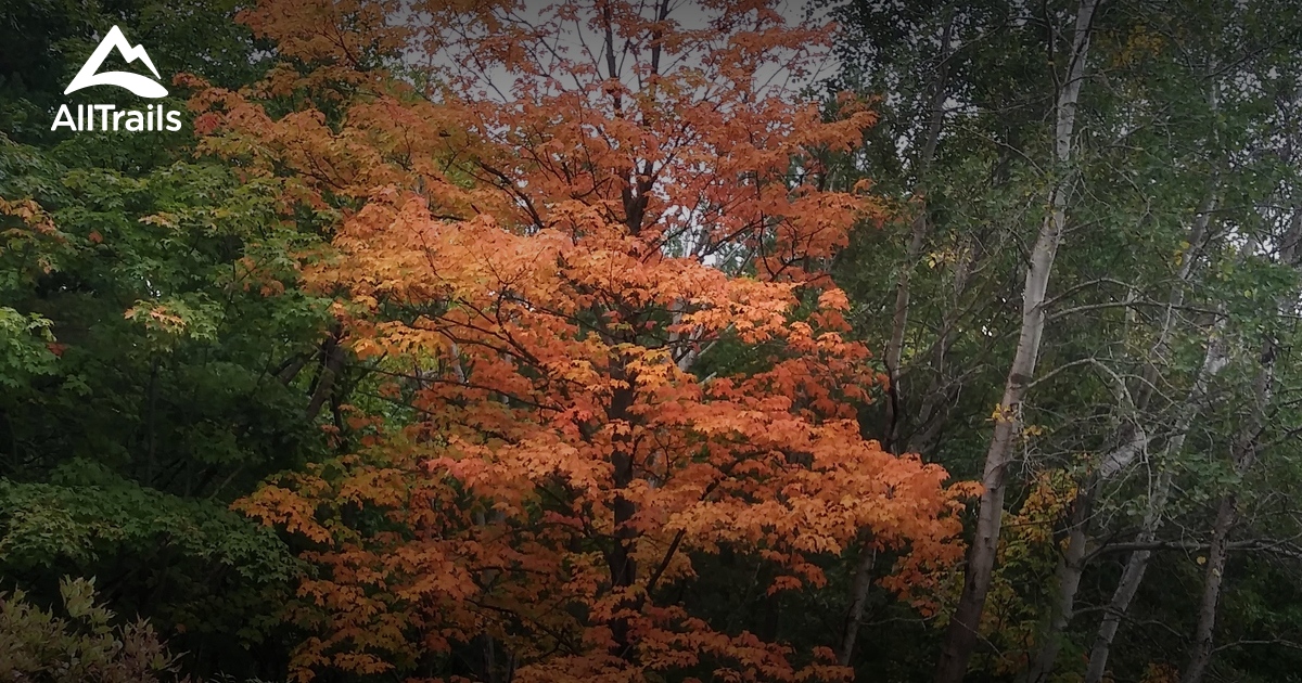 Best hikes and trails in Alton D. McGaw Memorial Plant Preserve | AllTrails