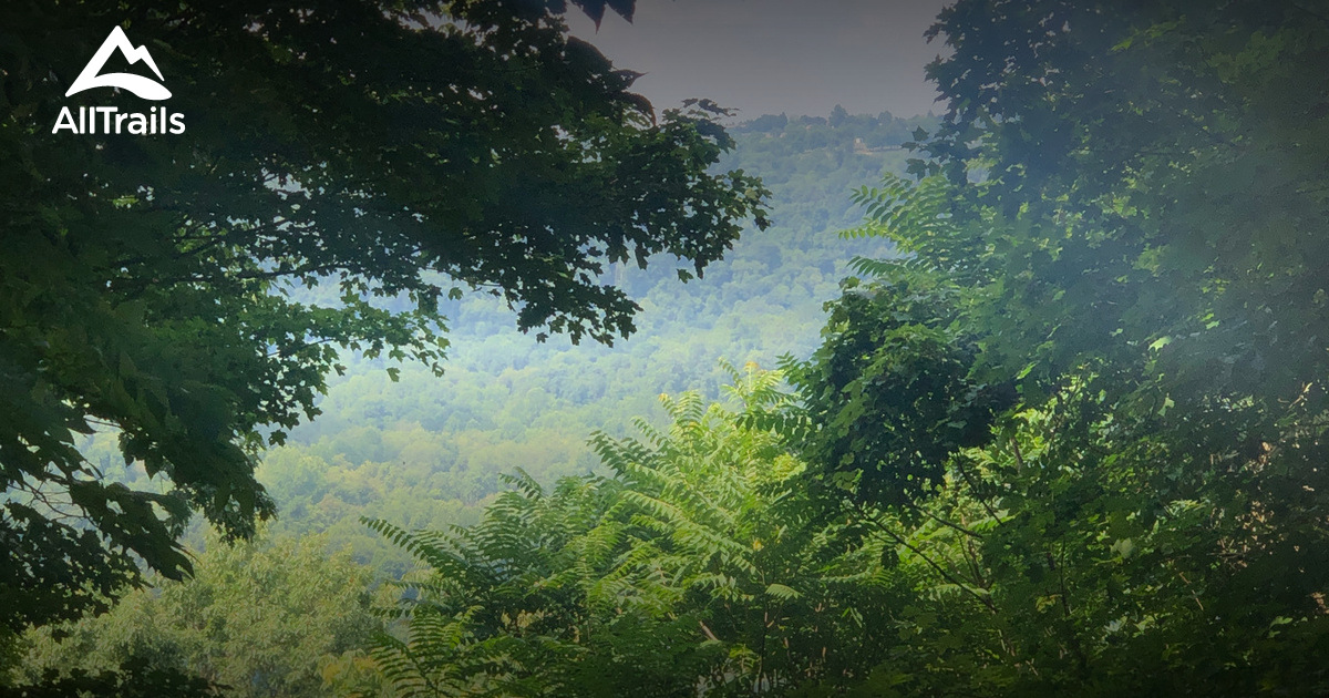 Best hikes and trails in Braddocks Trail Park | AllTrails