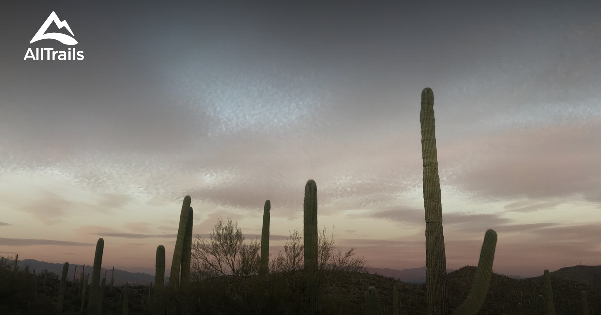 Best hikes and trails in Painted Hills Trails Park | AllTrails