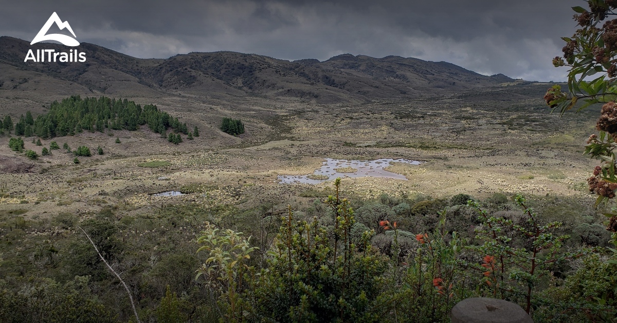 Best hikes and trails in Reserva Forestal Nacimiento Río Bogotá | AllTrails