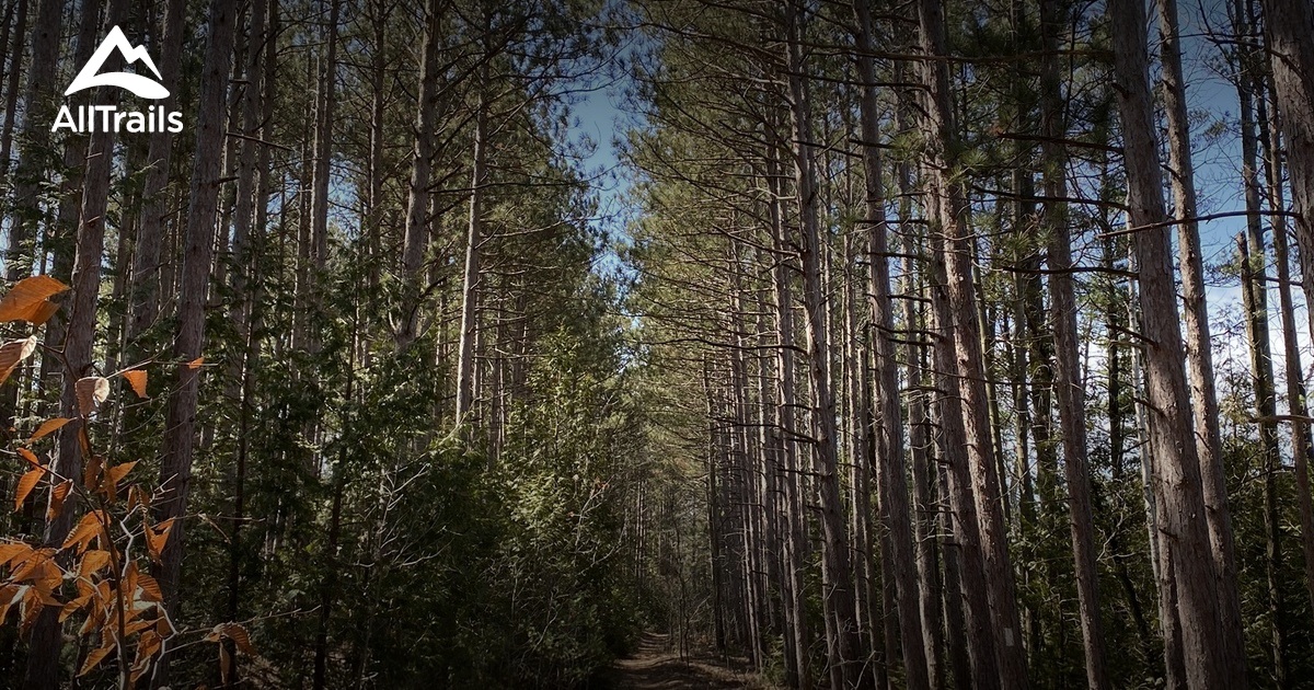 Best hikes and trails in Ipperwash Dunes and Swales Nature Reserve ...