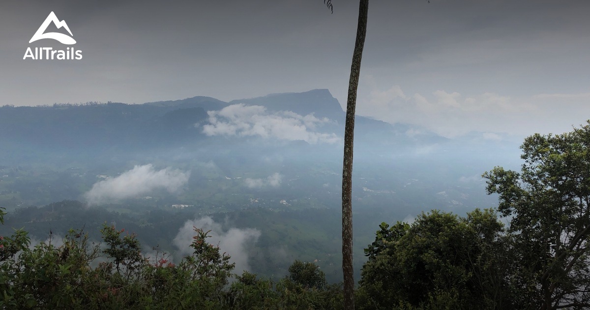 Best hikes and trails in Parque Natural Chicaque | AllTrails
