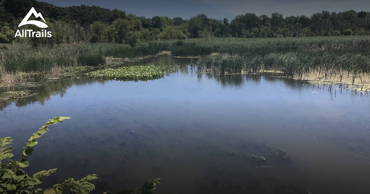 Best hikes and trails in Huron River Path MetroPark | AllTrails