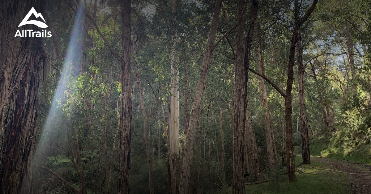 Best hikes and trails in One Tree Hill Reserve | AllTrails