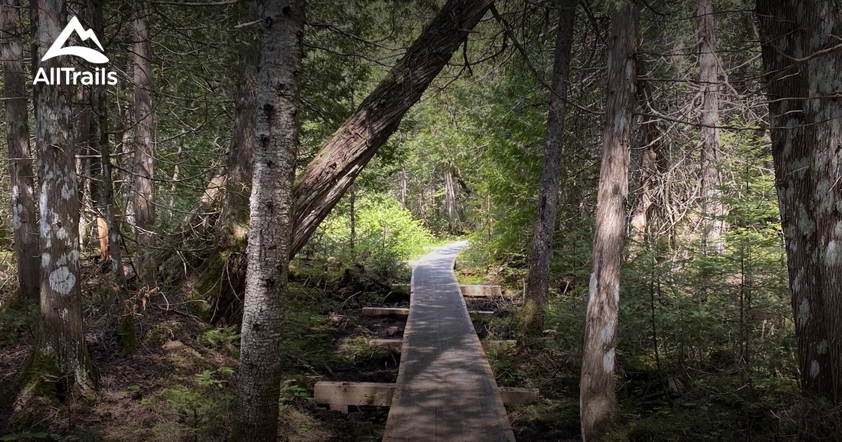 Parc régional de la Seigneurie-du-lac-Matapédia : les 10 meilleurs ...