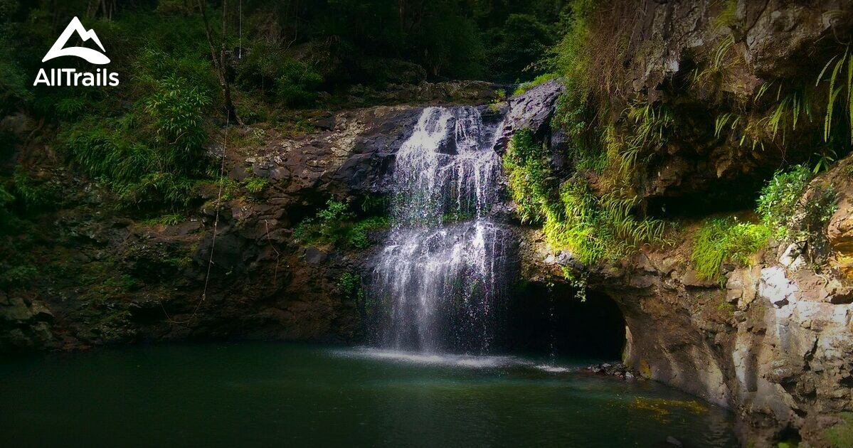 Denham Scenic Reserve: de beste routes om te wandelen | AllTrails