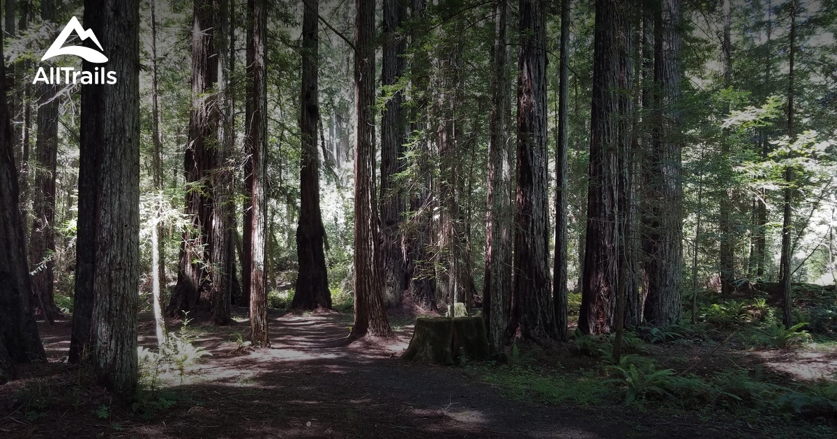 Best hikes and trails in Faulkner County Park | AllTrails