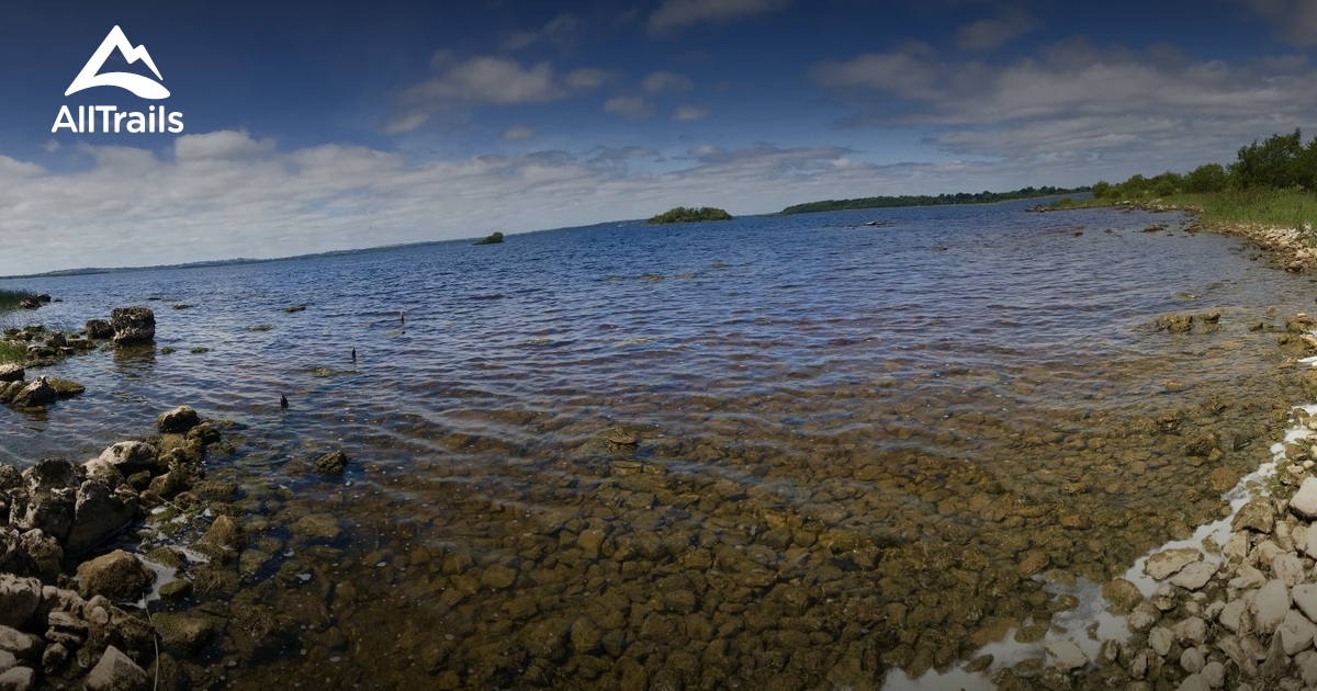 Best camping trails in Portlick Millennium Forest | AllTrails