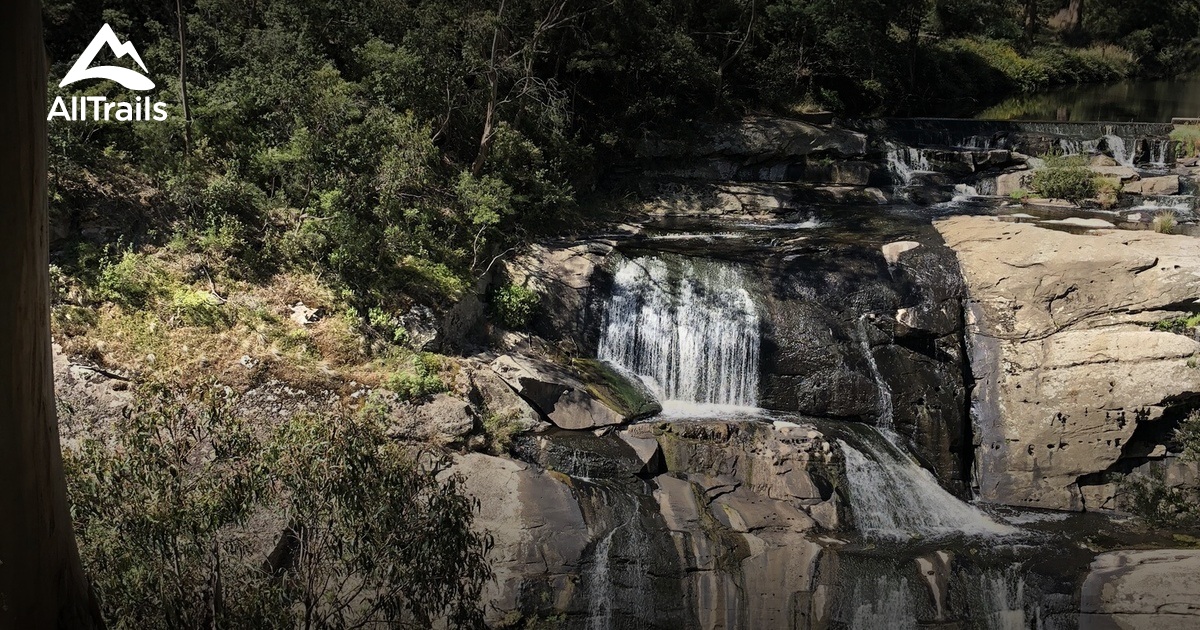 Best hikes and trails in Agnes Falls Scenic Reserve | AllTrails
