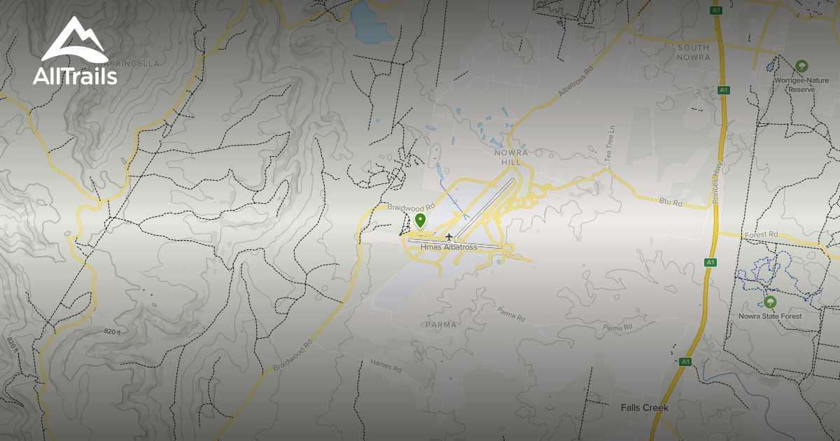 Best hikes and trails in Yerriyong State Forest | AllTrails