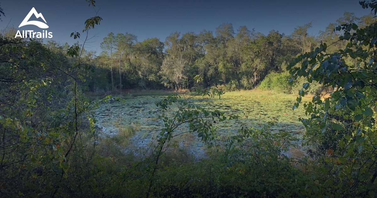 Best hikes and trails in Crooked River Preserve | AllTrails