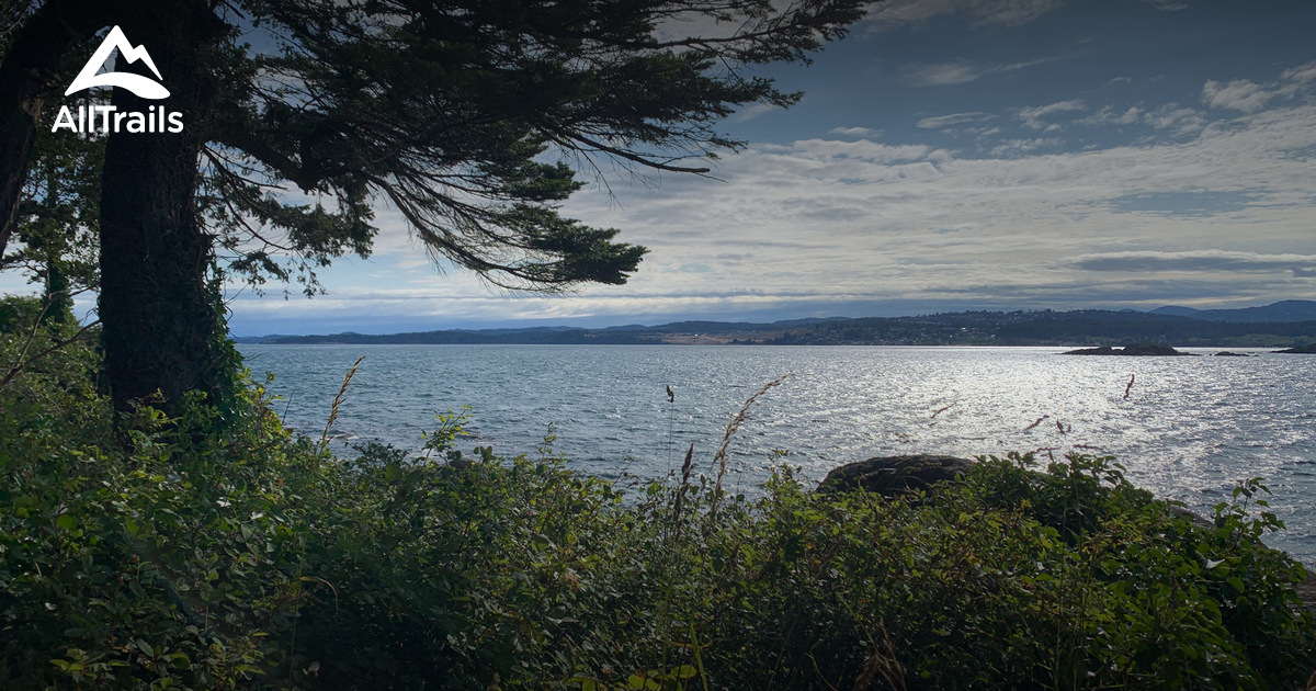 Best hikes and trails in Saxe Point Park | AllTrails