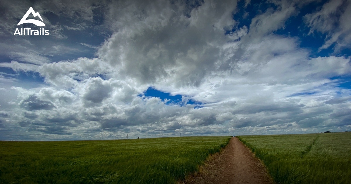 Best hikes and trails in Oxclose Wood | AllTrails