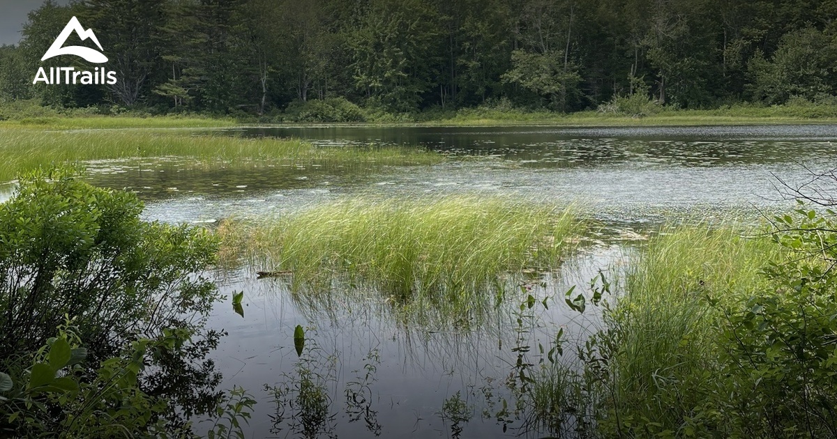 Best hikes and trails in Crooked Farm Preserve | AllTrails