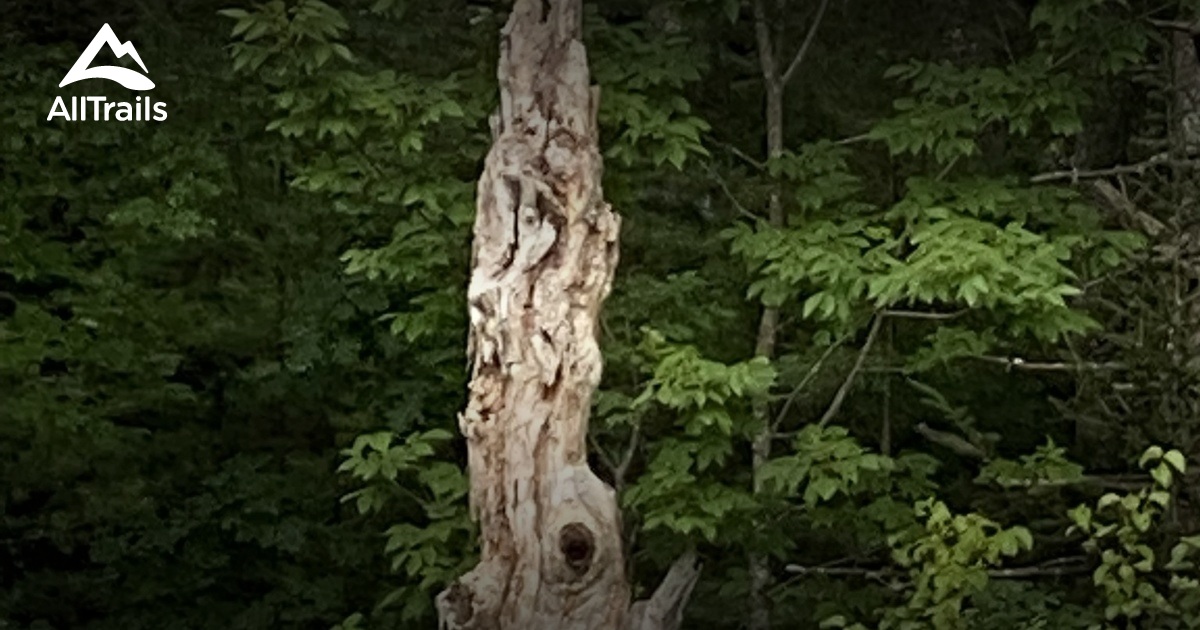 Best hikes and trails in Crystal Spring Farm | AllTrails