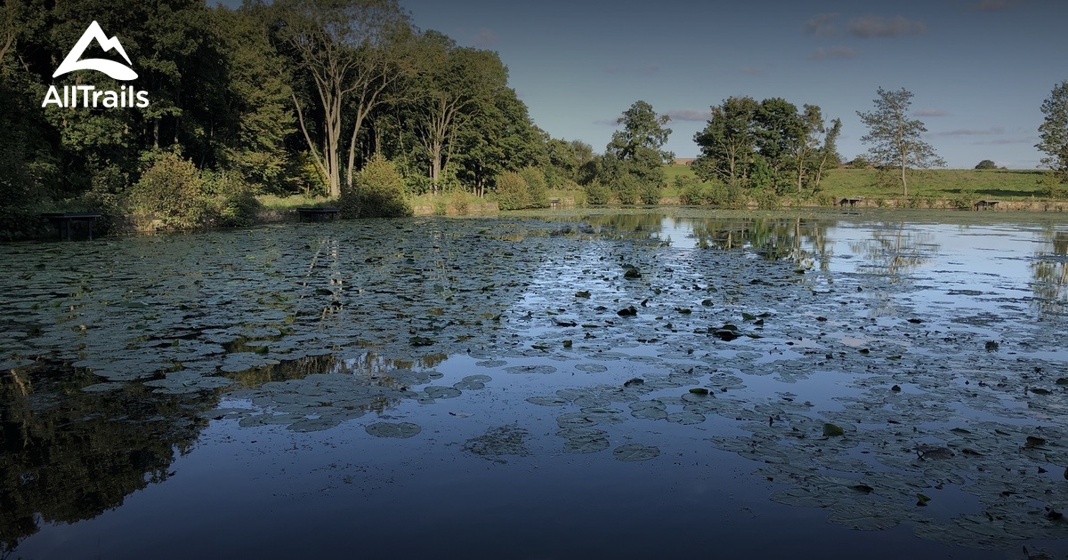 Best hikes and trails in Breary Marsh Local Nature Reserve | AllTrails