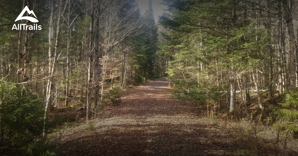 Best moderate trails in Round Lake Wilderness | AllTrails