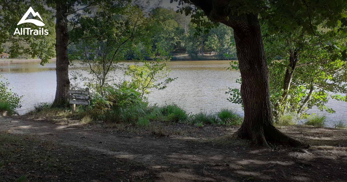 Best forest trails in Buchan Country Park | AllTrails