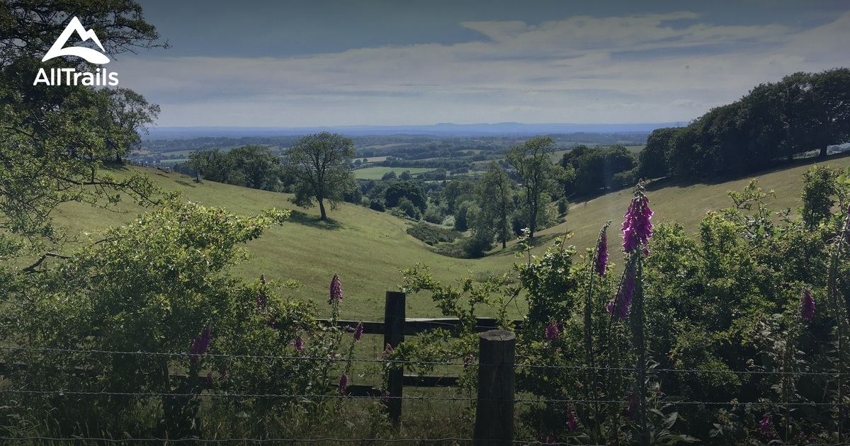 Best short trails in Waseley Hills Country Park | AllTrails