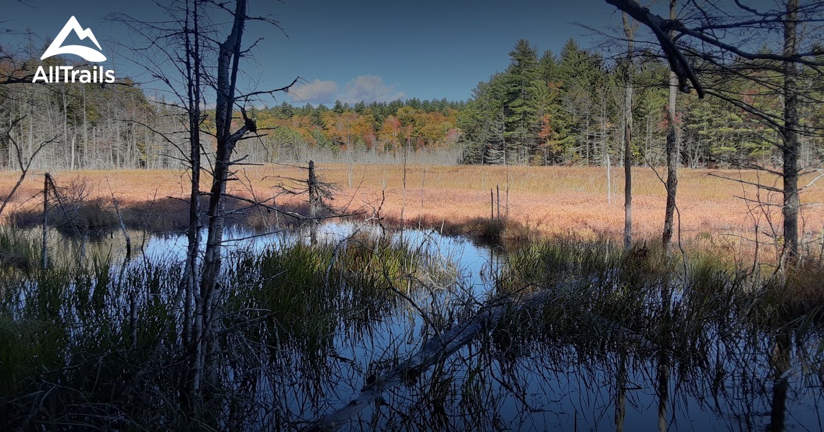 Best hikes and trails in Highland Research Forest | AllTrails