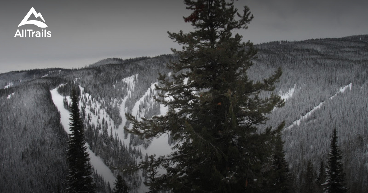 Najlepsze szlaki spacerowe w: Silver Star Mountain Resort | AllTrails