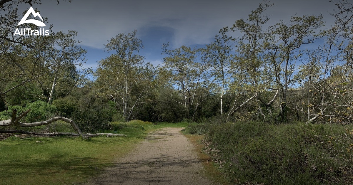 Best hikes and trails in Marian Bear Natural Memorial Park | AllTrails