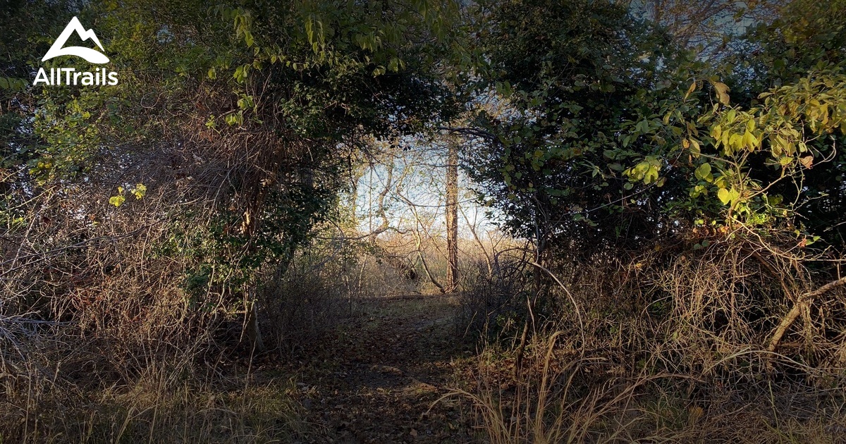 Best hikes and trails in Wading River Marsh Preserve | AllTrails