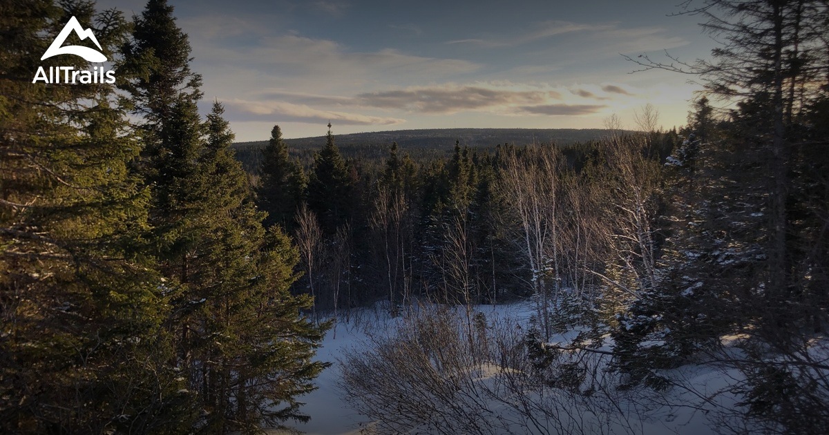 Best hikes and trails in Gambo Cross Country Ski and Snowshoe Park ...
