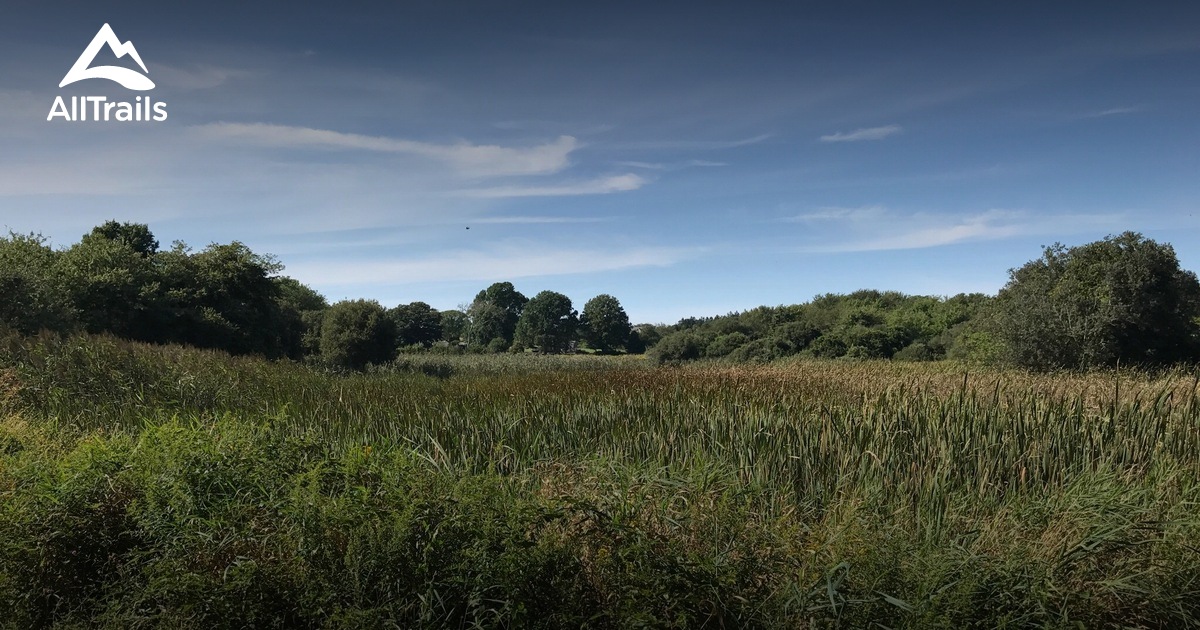 Best walking trails in John C. Whitehead Preserve | AllTrails