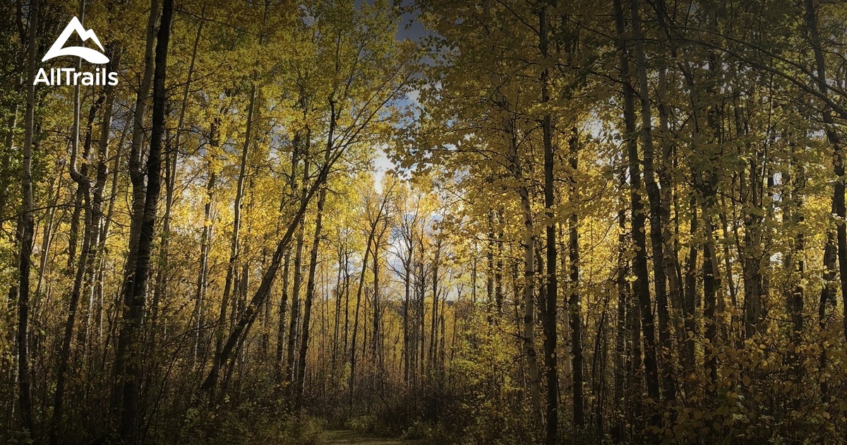 Best Wildlife Trails in Pembina Rotary Community North Trails | AllTrails