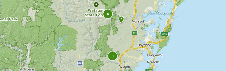 Best Hikes and Trails in Jilliby State Conservation Area | AllTrails
