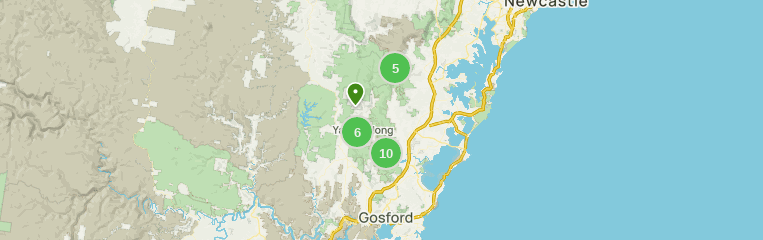 10 Best Hikes and Trails in Jilliby State Conservation Area | AllTrails