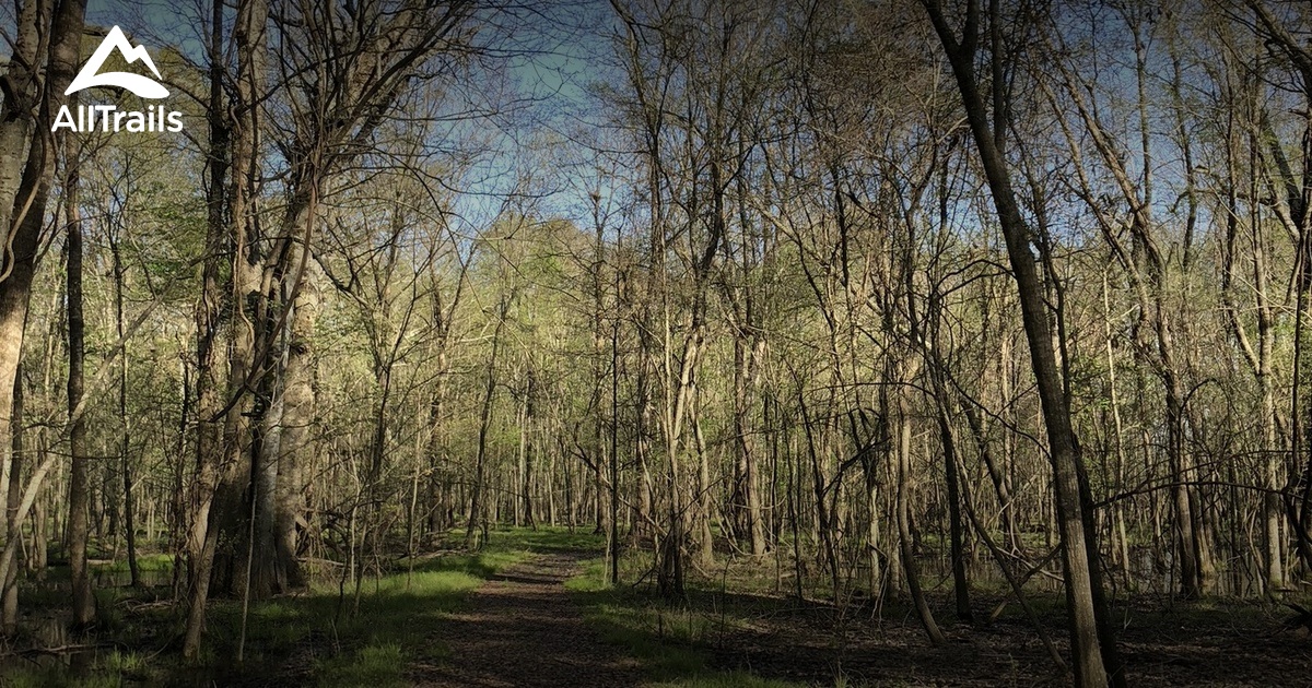 Best hikes and trails in Lake Chicot State Park | AllTrails