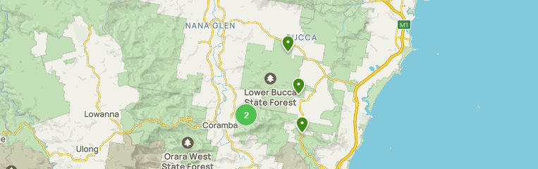 Best Hikes and Trails in Lower Bucca State Forest | AllTrails