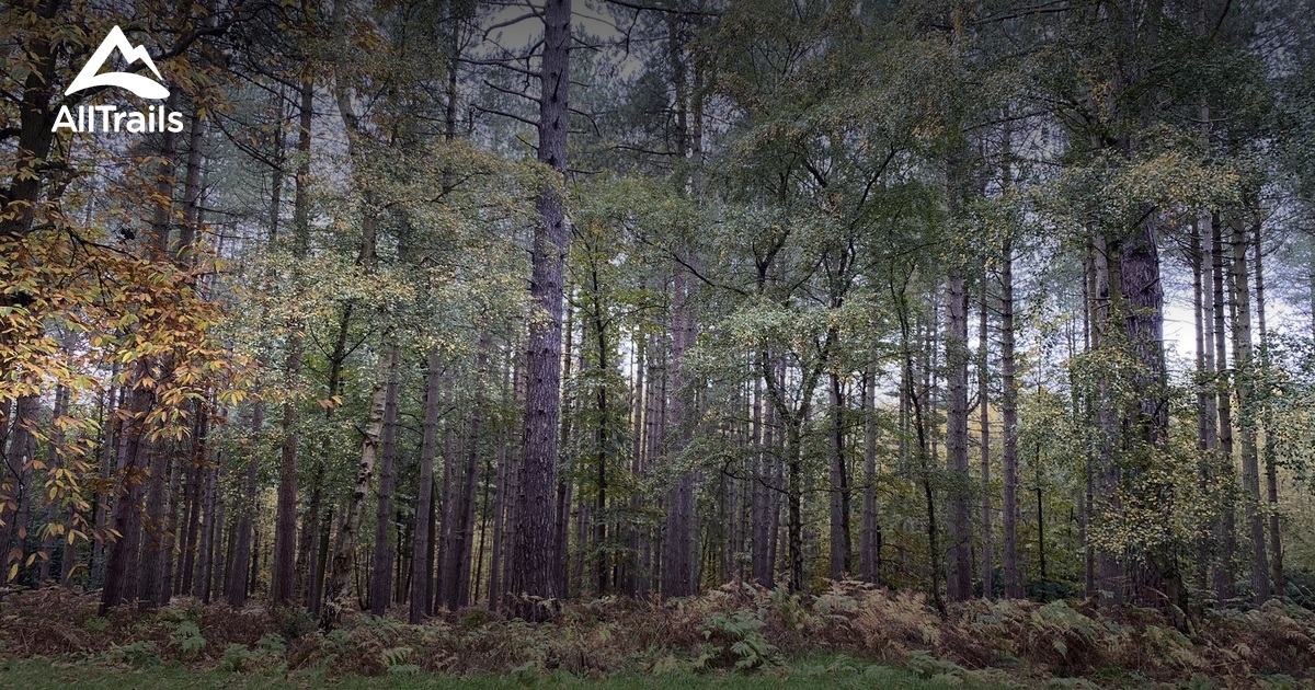 Best hikes and trails in Sandringham Estate | AllTrails