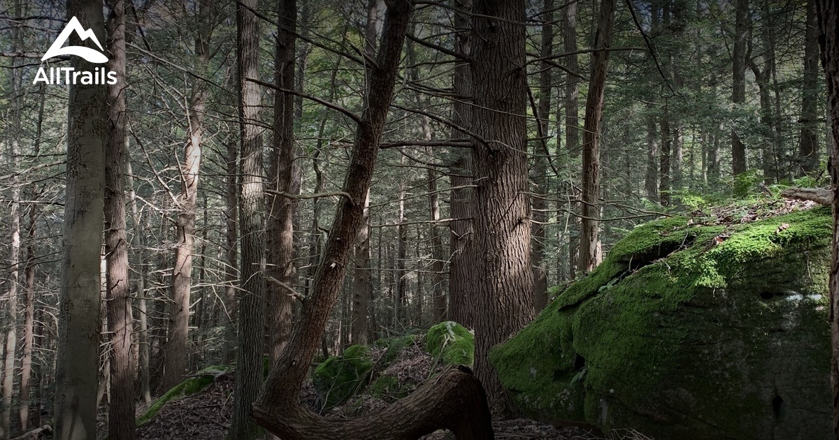 I migliori sentieri fluviali in Bear Run Nature Reserve | AllTrails