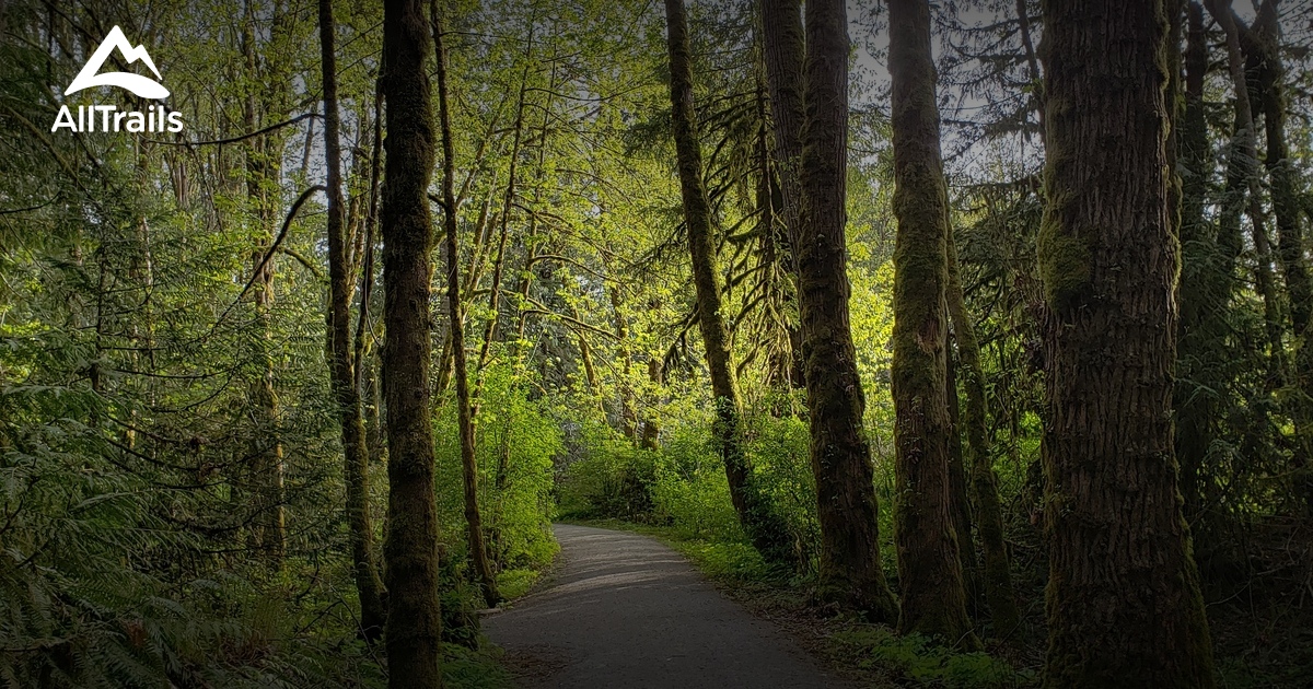 Best hikes and trails in Bright Angel Park | AllTrails