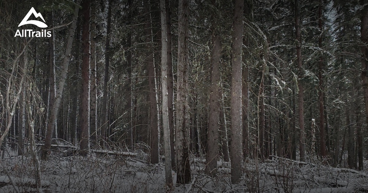 Best hikes and trails in Beatton Provincial Park | AllTrails