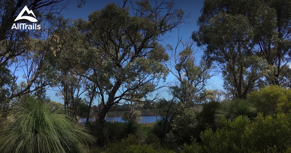 Best hikes and trails in Beeliar Regional Park | AllTrails