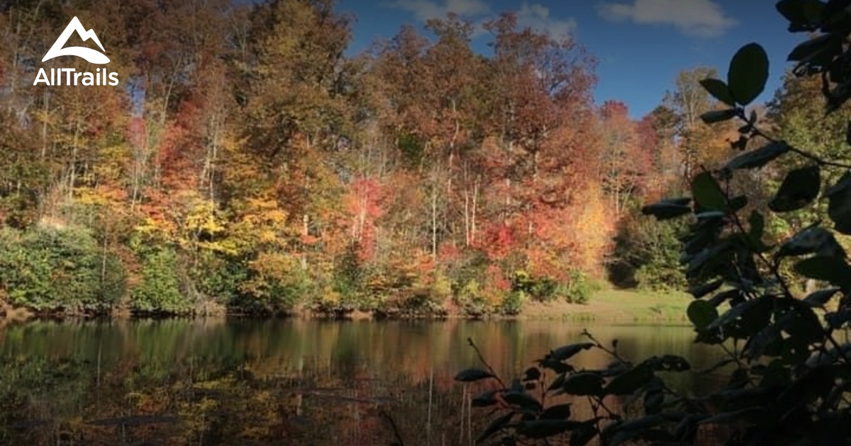 Best hikes and trails in Indian Rocks Community Park | AllTrails